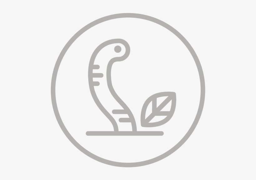 Circle Transparent PNG - 600x600 - Free Download on NicePNG