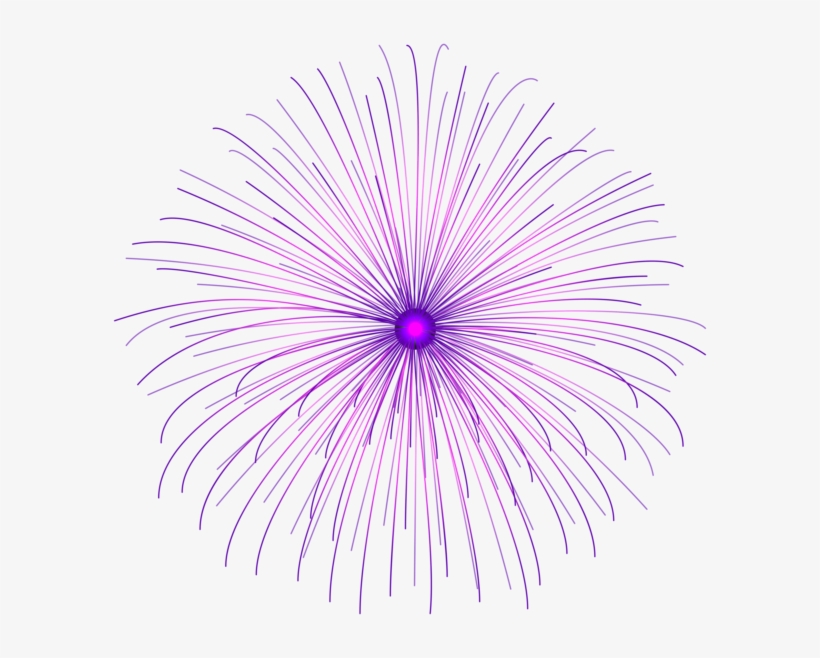 Purple Firework Png Transparent Transparent PNG - 600x578 - Free ...