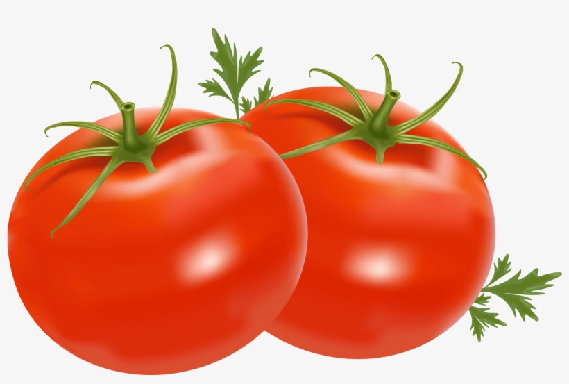 Download - Tomatoes With No Background Transparent PNG - 2048x2048 ...