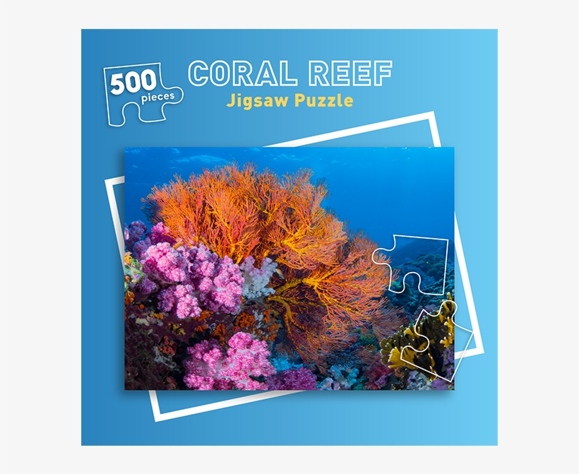 Shop Transparent PNG - 800x600 - Free Download on NicePNG