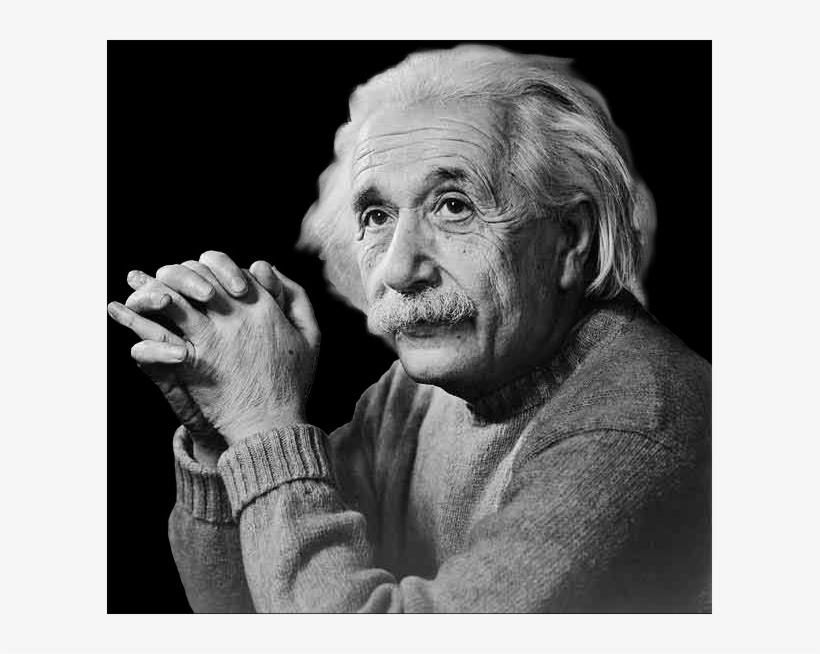 But If You Judge A Fish By Its Ability To Climb A Tree, - Albert ...