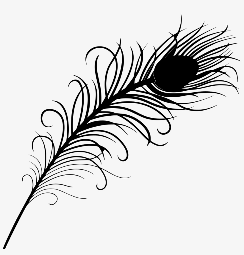 Download Png - Peacock Feather Clipart Png Transparent PNG - 1024x1024 ...