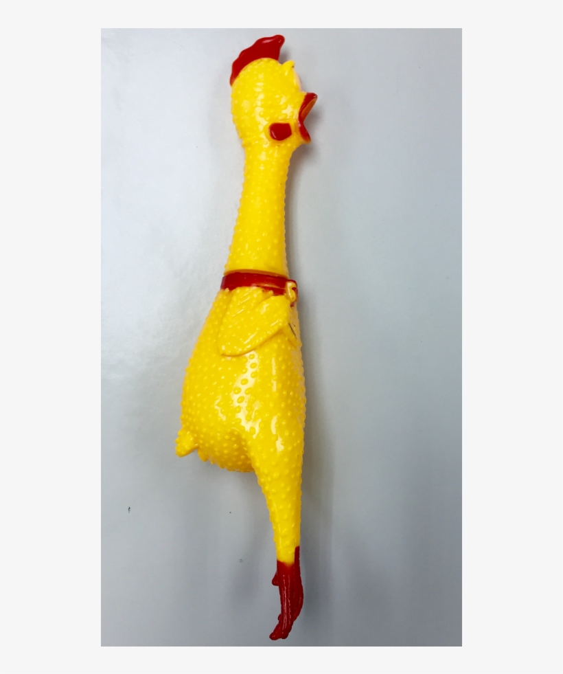 Rubber Chicken - Chicken Transparent PNG - 900x900 - Free Download on ...