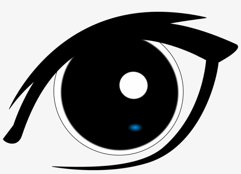 Download Eyeball Eye Vision Free Vector Graphic On Pixabay - Human Eye ...