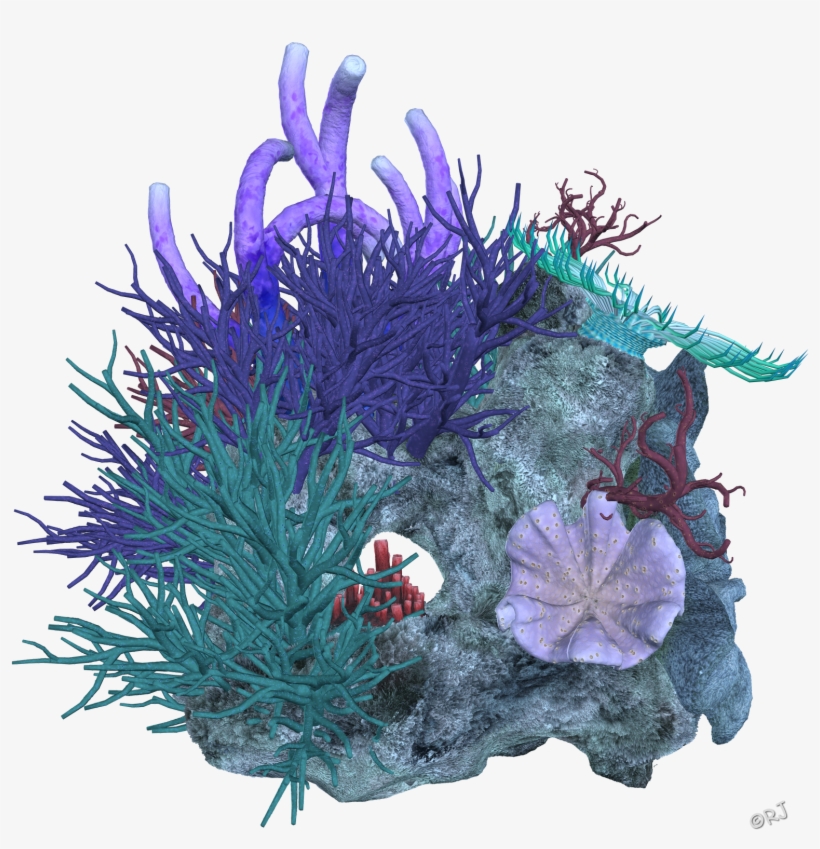 Reef Deep Sea Transprent - Coral Png Transparent PNG - 1600x1600 - Free ...