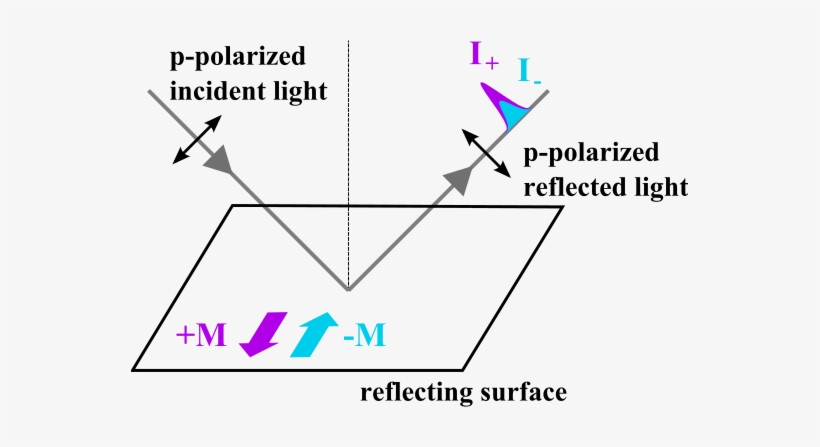 Transverse Magneto Optic Kerr Effect Geometry - Magneto Optical Kerr ...
