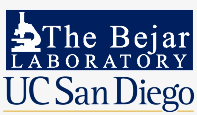 Ucsd Logo Png Transparent PNG - 1000x534 - Free Download on NicePNG