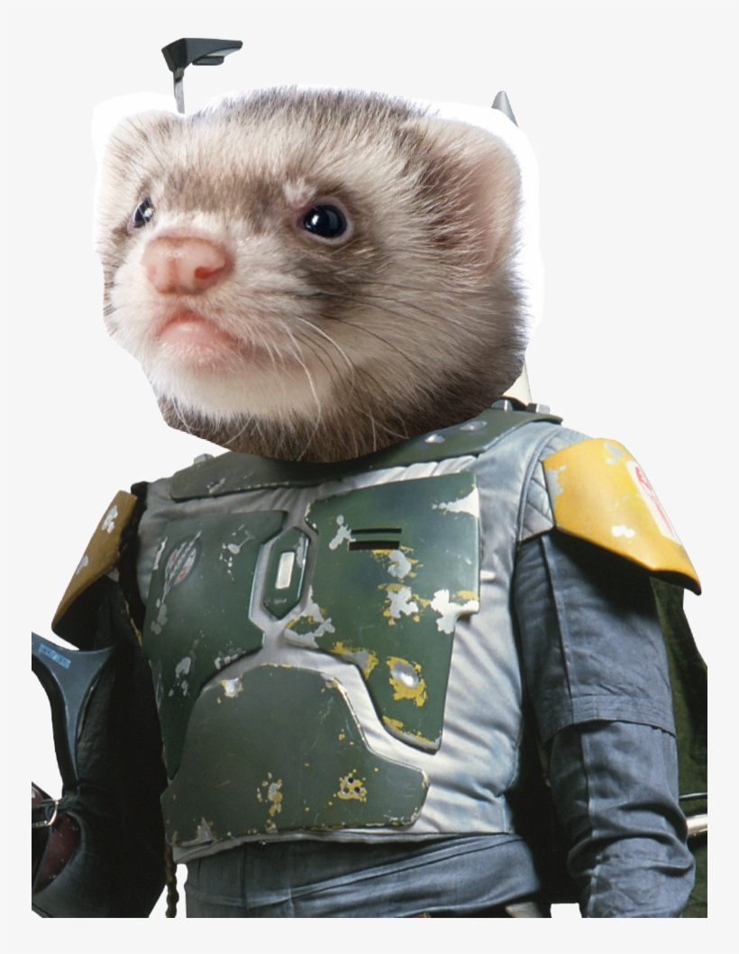 Boba Ferret - Boba Fett Transparent PNG - 750x1000 - Free Download on ...