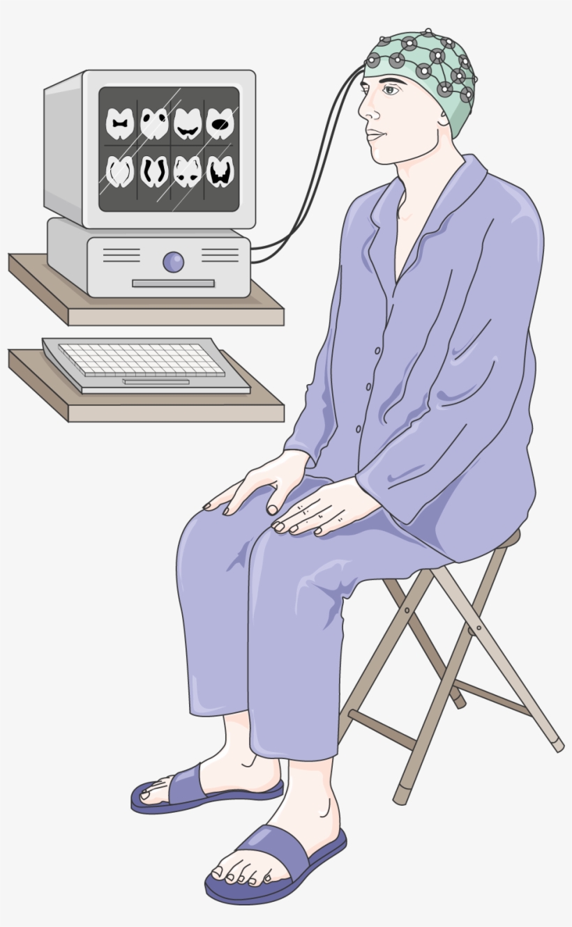 Eeg - Eeg Clipart Transparent PNG - 956x1505 - Free Download on NicePNG