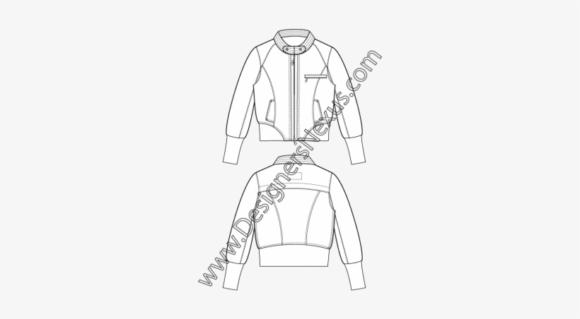 Download Mandarin Collar Cropped Puffer Jacket Fashion Flat - Mandarin ...