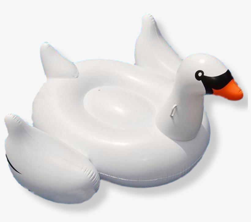 Giant Swan Inflatable Pool Float - Swan Float Transparent PNG - 960x960 ...