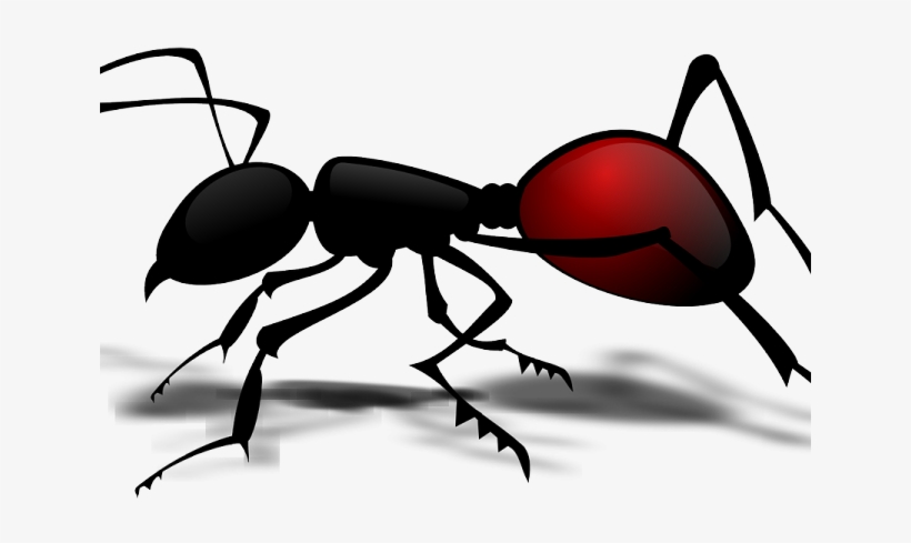 Ants Clipart Vector Png - Ant Body Part Worksheet Transparent PNG ...