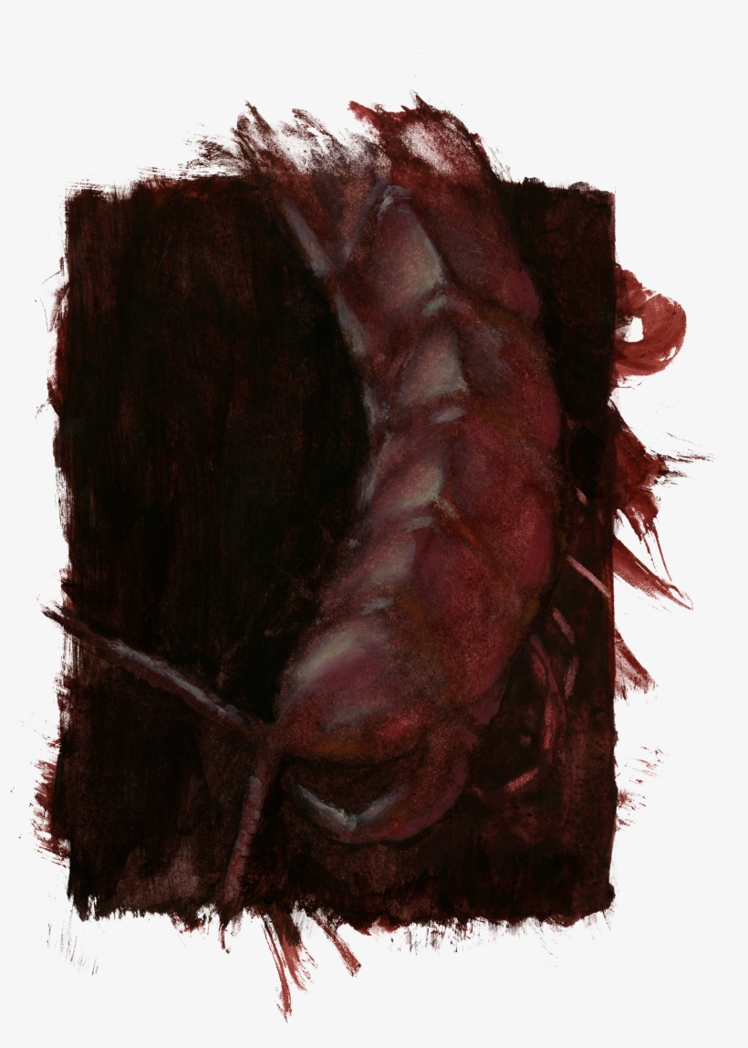 Color Study - Fruit Transparent PNG - 1920x2533 - Free Download on NicePNG