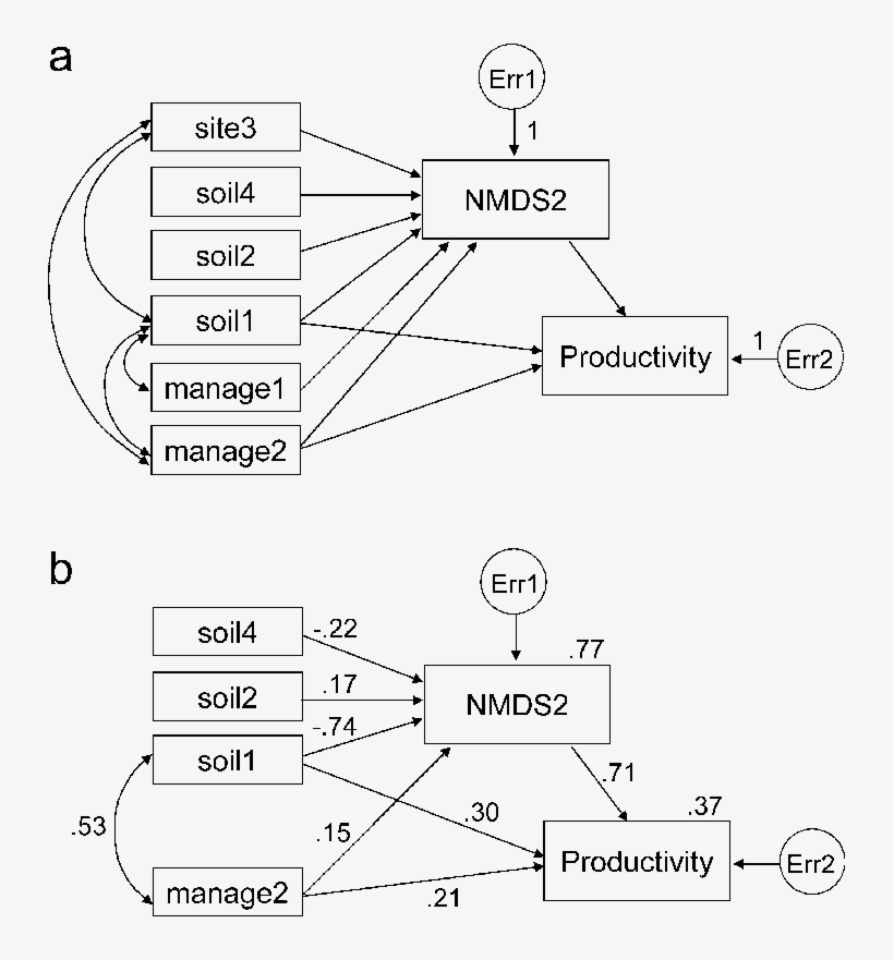 Download Single Headed Arrows Indicate Paths - Diagram - HD Transparent ...