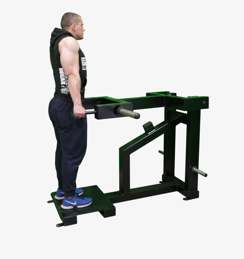 Home / Plate Loaded Gym Equipment / G3 Shrug Machine - Biceps Curl ...