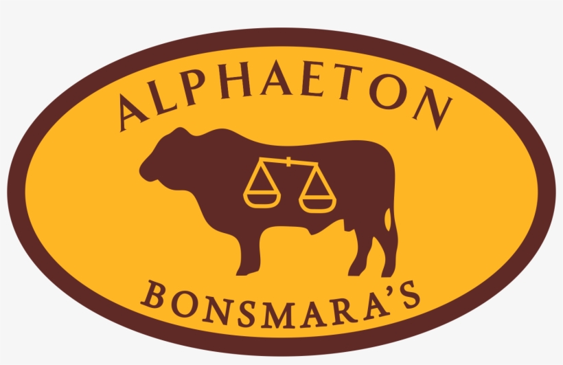 Bonsmara Transparent PNG - 1498x897 - Free Download on NicePNG