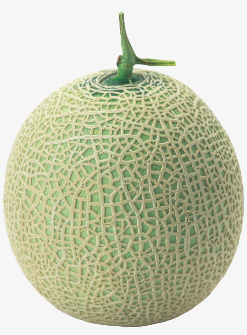 Melon - Honeydew Melon Transparent Background Transparent PNG ...