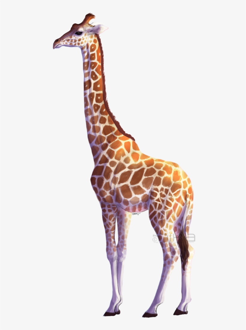 Giraffe Png Transparent PNG - 730x1095 - Free Download on NicePNG