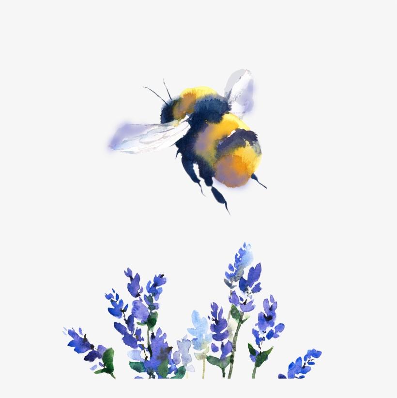 Download Pages - Bumble Bee Watercolor - HD Transparent PNG - NicePNG.com