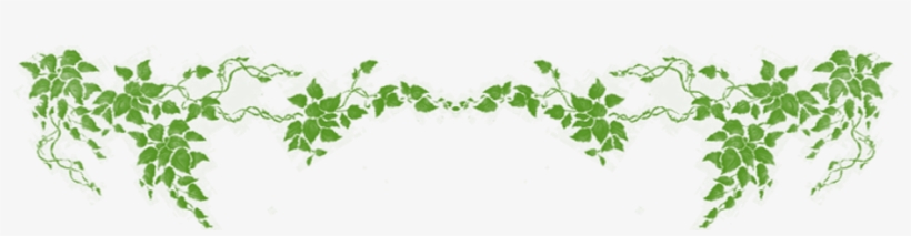 Download 06, August 15, 2016 - Cartoon Vines Png - HD Transparent PNG ...