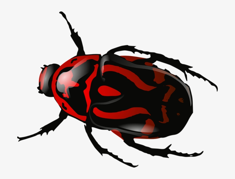 Red Insect Bug Png Image - Beetle Clip Art Transparent PNG - 600x468 - Free Download on NicePNG