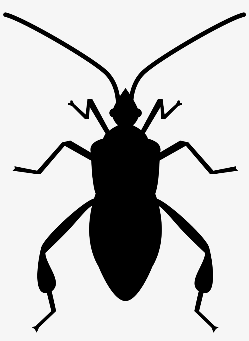 Bug Svg Vector - Bug Png Transparent PNG - 2000x2000 - Free Download on ...
