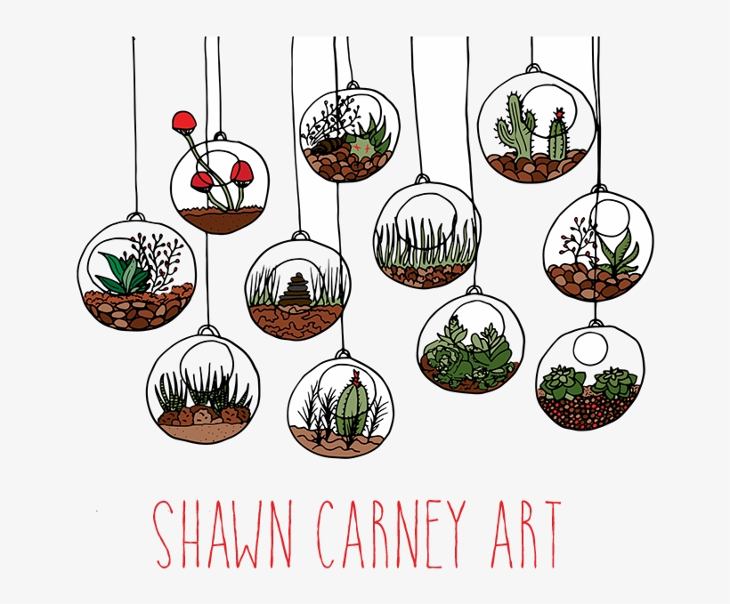 Terrarium Drawing Transparent PNG - 650x650 - Free Download on NicePNG