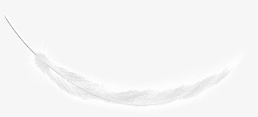 Falling White Feathers