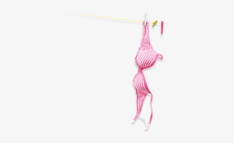 Hanging Bra Vector
