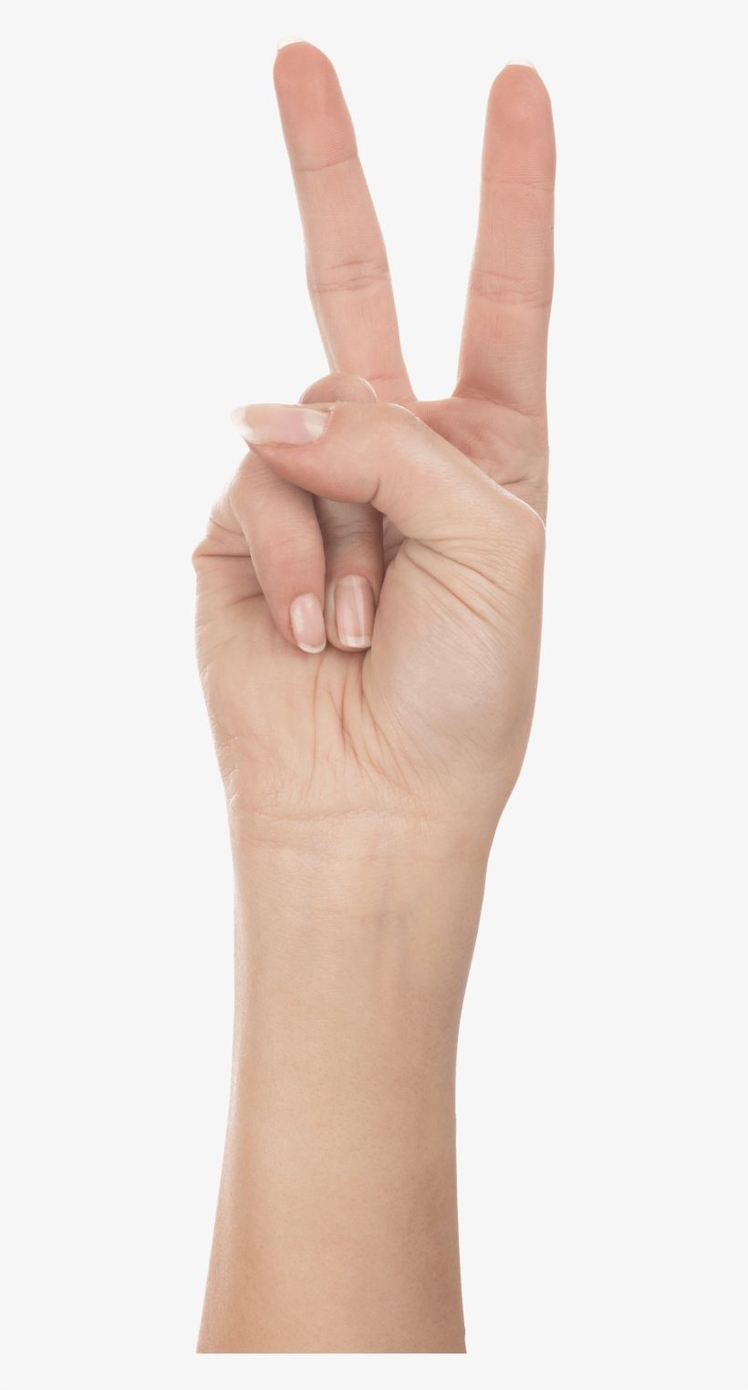 Hands Png Hand Image - 2 Finger Hand Png Transparent PNG - 400x1443 ...