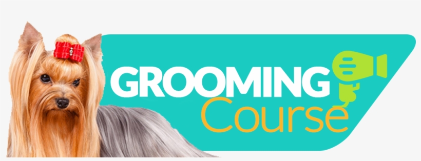 Null - Girl Transparent PNG - 1084x395 - Free Download on NicePNG