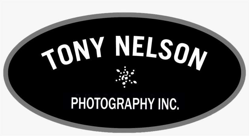 Wpp Kantar Logo Transparent PNG - 1761x897 - Free Download on NicePNG