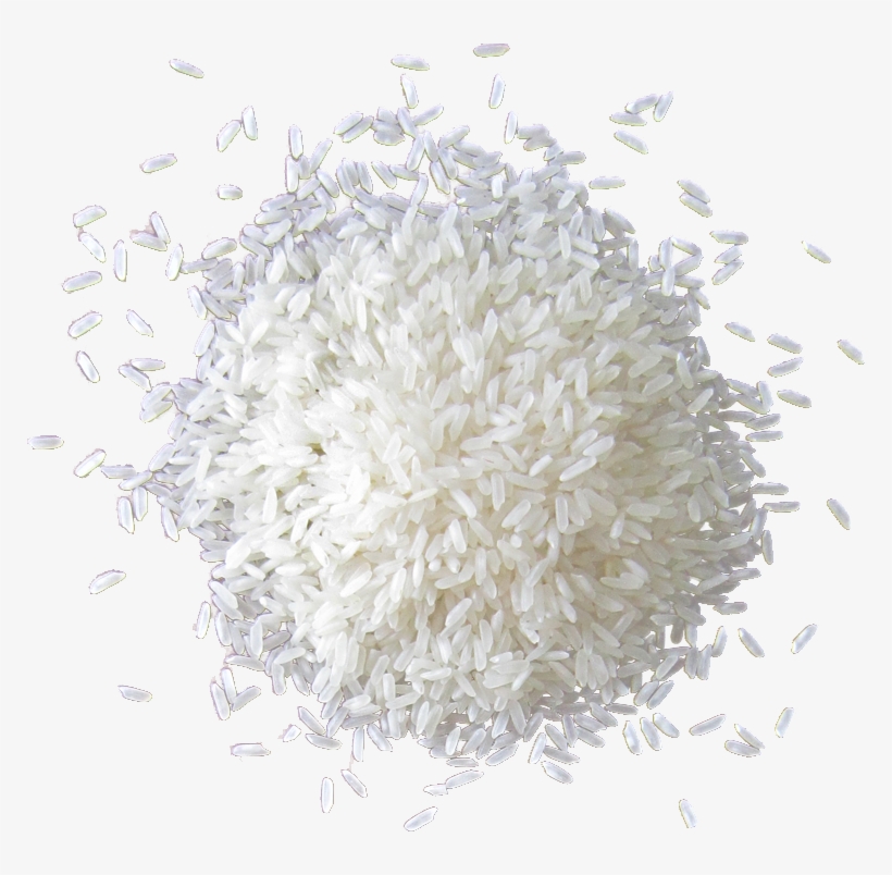 Riz - Grain De Riz Png Transparent PNG - 777x724 - Free Download on NicePNG