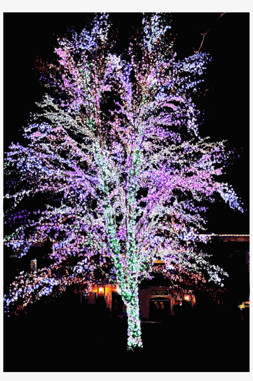 This Free Icons Png Design Of Magic Tree Transparent PNG - 1649x2400 ...