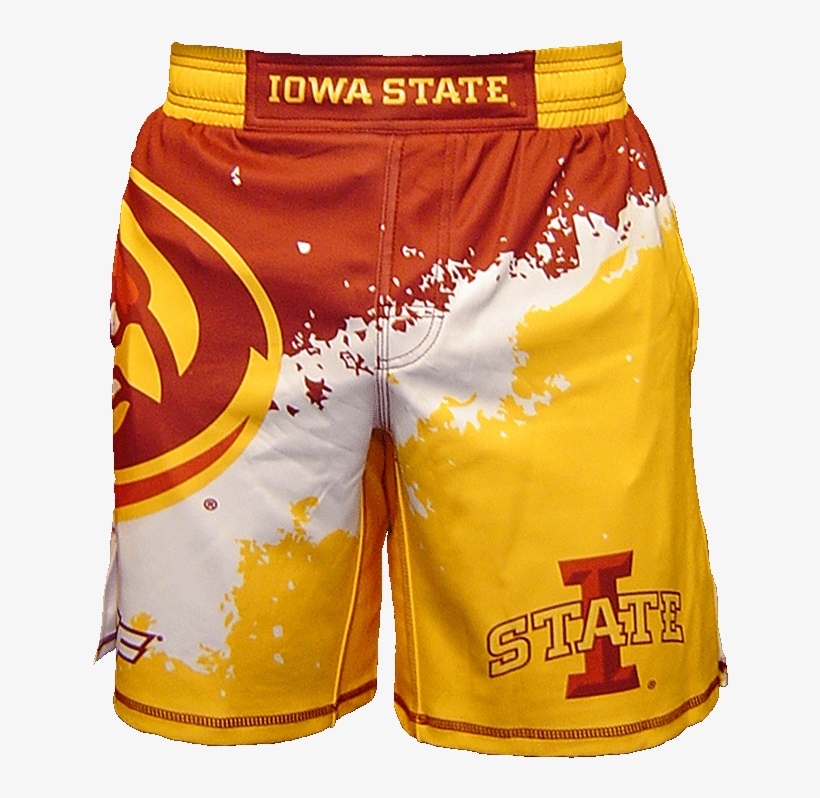 Iowa State University Transparent PNG - 750x1000 - Free Download on NicePNG
