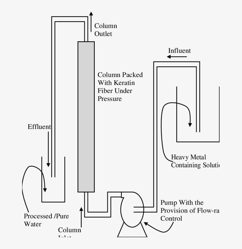 Schematic Of The Continuous Column For Heavy Metals' - Diagram ...