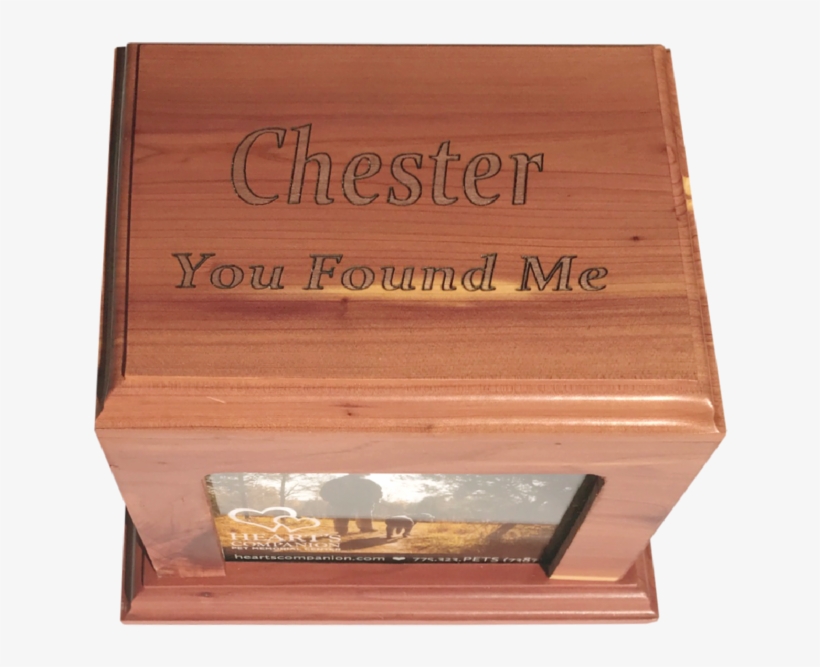 Catalog - " Transparent PNG - 1000x1000 - Free Download on NicePNG