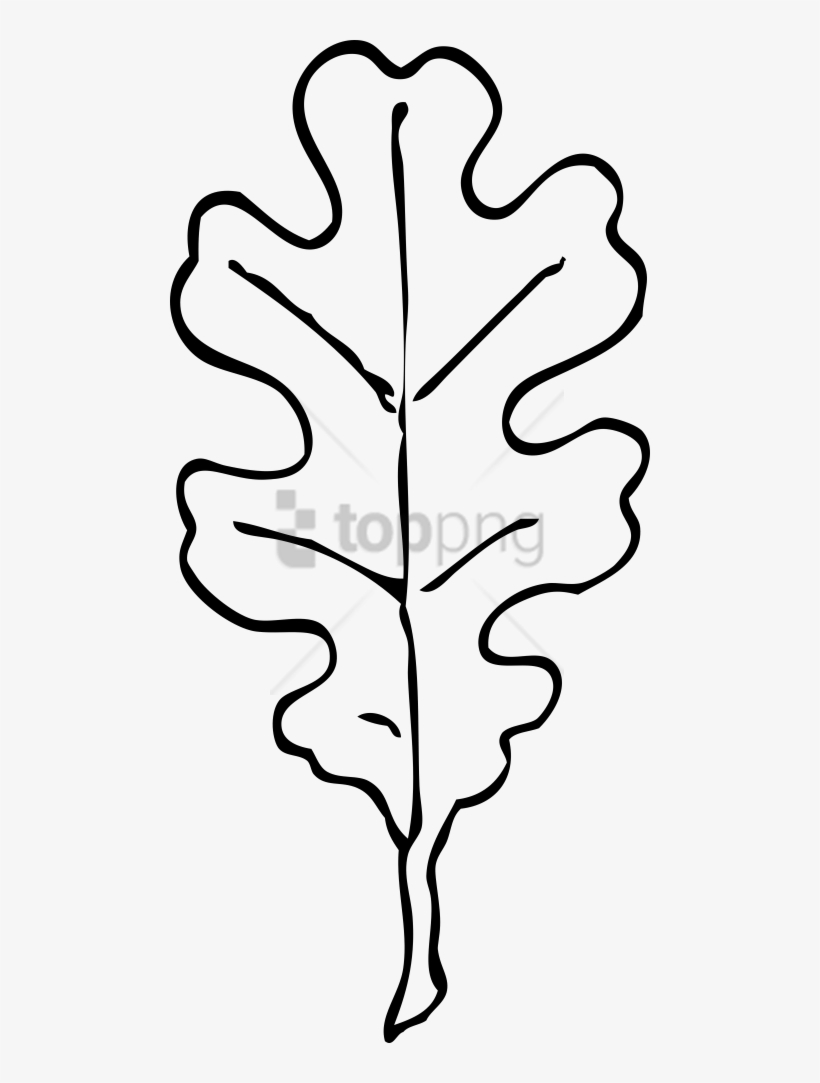 Fall Leaf Clip Art Black And White
