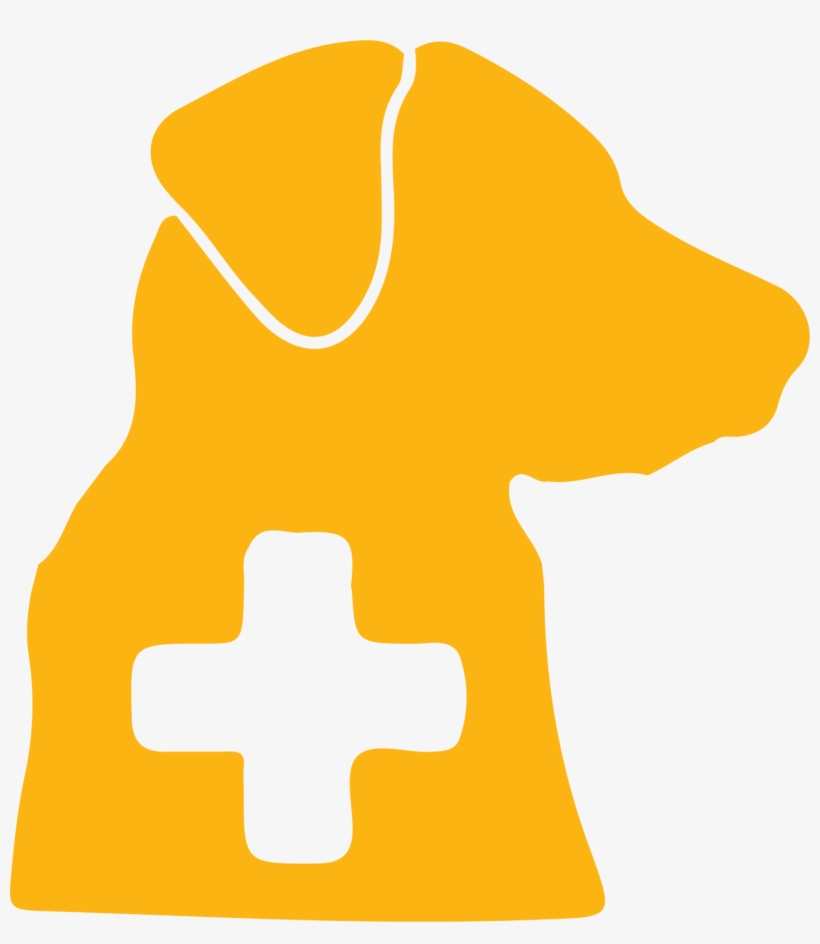 Service Dogs Transparent PNG - 1430x1578 - Free Download on NicePNG