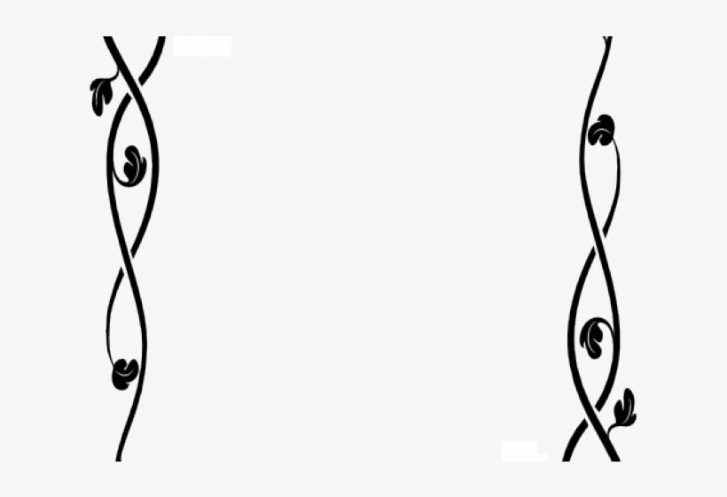 Draw Borders Map