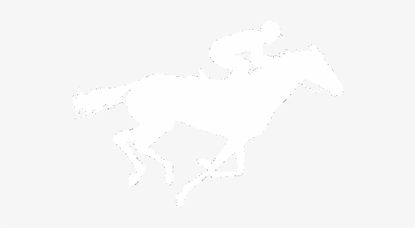 Racing - Thoroughbred Horses Silhouette Transparent PNG - 730x584 ...