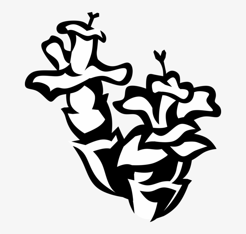 Vector Illustration Of Holiday Season Christmas Cactus - Illustration ...