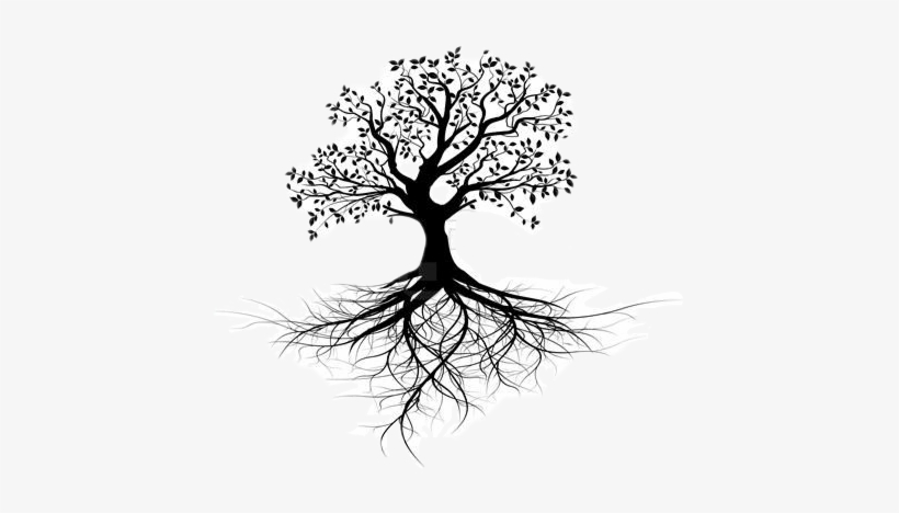 Tree Treeroots Treeoflife Freetoedit - Tree With Roots Outline ...