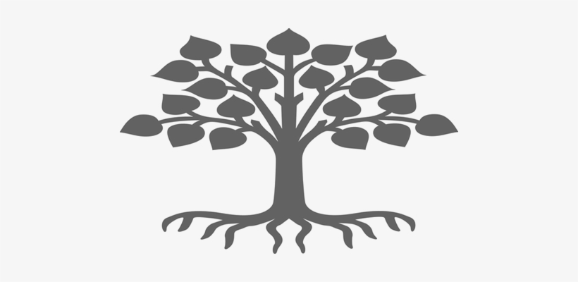 Tree Roots - Tree In Computer Science Transparent PNG - 480x320 - Free ...