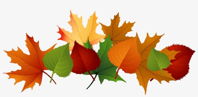 Autumn Leaves Pile Clip Art - Fall Clipart Transparent PNG - 4153x1988 ...