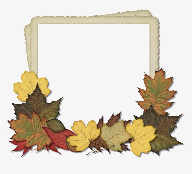 Https - //www - Bing - Com/images/searchview= - Designer Photo Frames ...