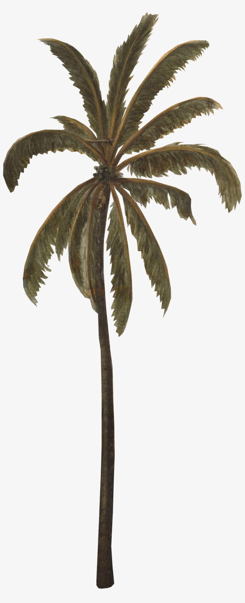 Batavia Transparent PNG - 1452x3482 - Free Download on NicePNG