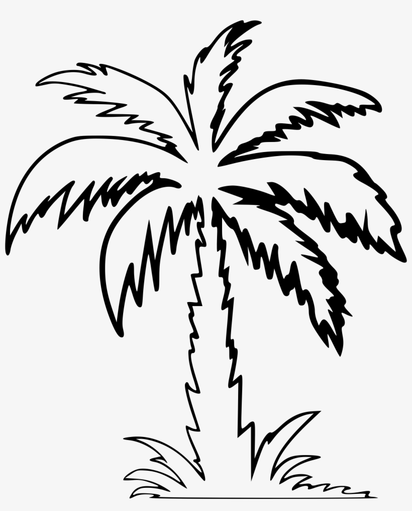 Clipart Palm Tree Clipart Outline Transparent PNG 2002x2381 Free