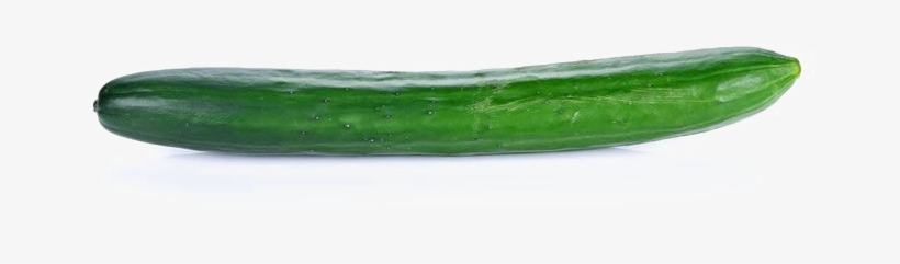 Single Cucumber Png Image With Transparent Background - Cucumber Single ...