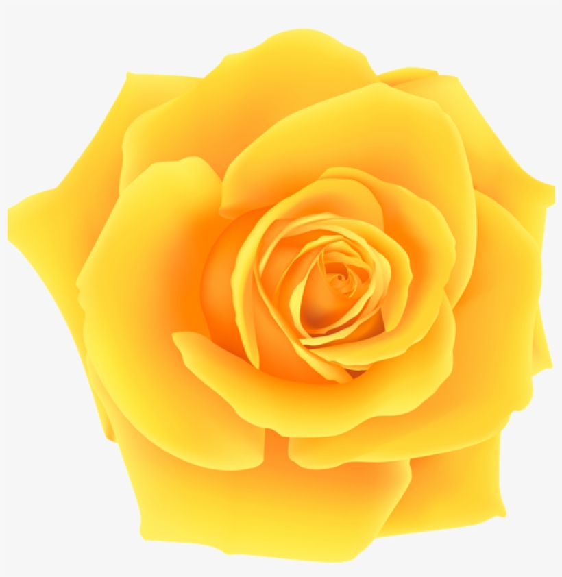 Yellow Rose Border Clip Art